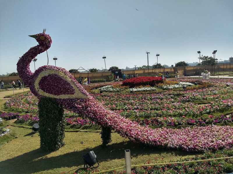Must Visit Riverfront Flower Show Ahmedabad In 2023 Dates Tickets Timings